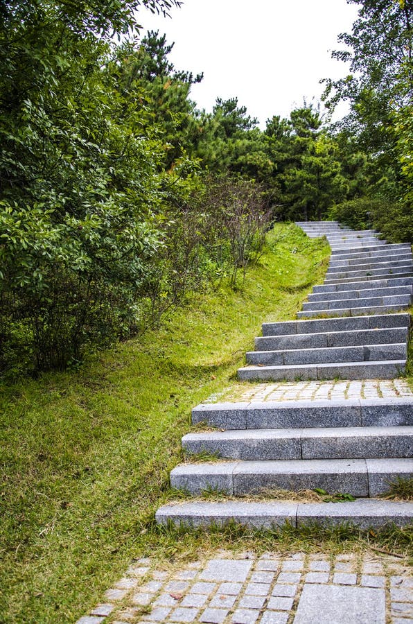 Steps stock photo. Image of mountain, plant, leaf, branch - 60954684