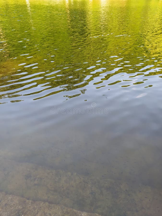 Stone steps to the lake stock image. Image of wetland - 189594541