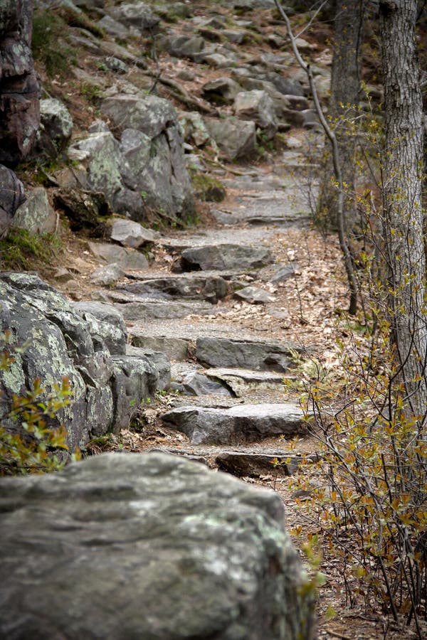Stone Steps on a Trail in the Forest Stock Image - Image of parkland ...