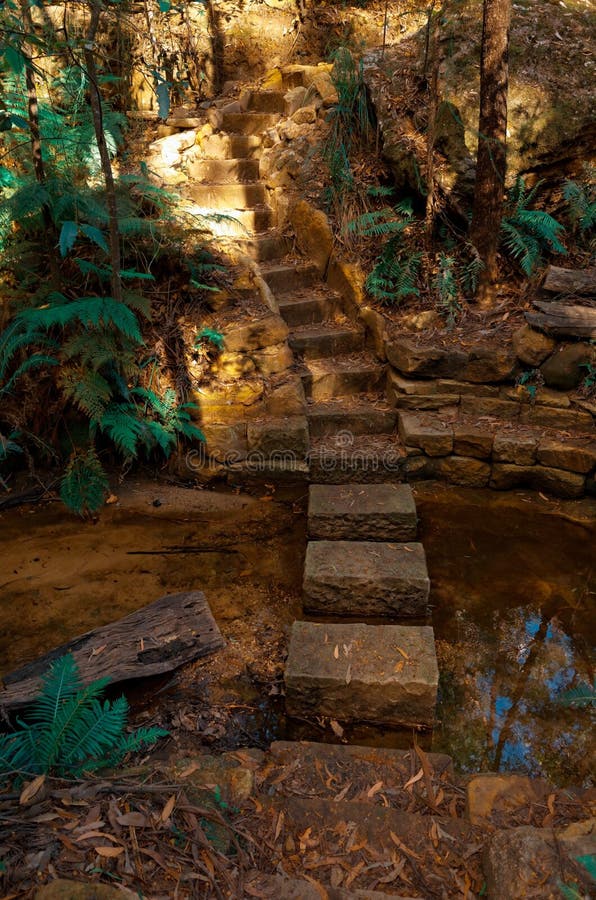 Stone Steps stock image. Image of wood, blue, bush, harmonious - 49149721