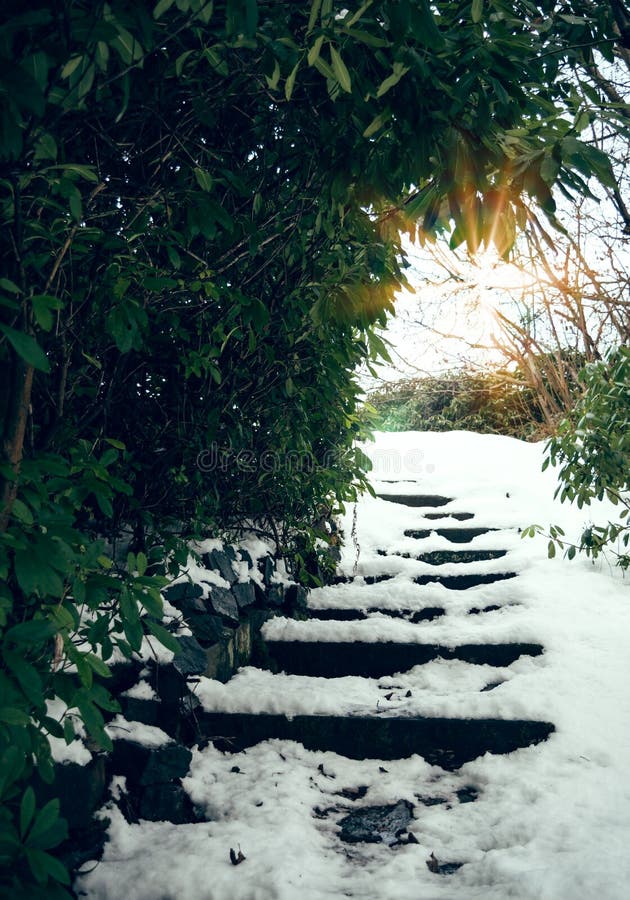 Stone Steps in Winter stock image. Image of steps, stone - 48484907