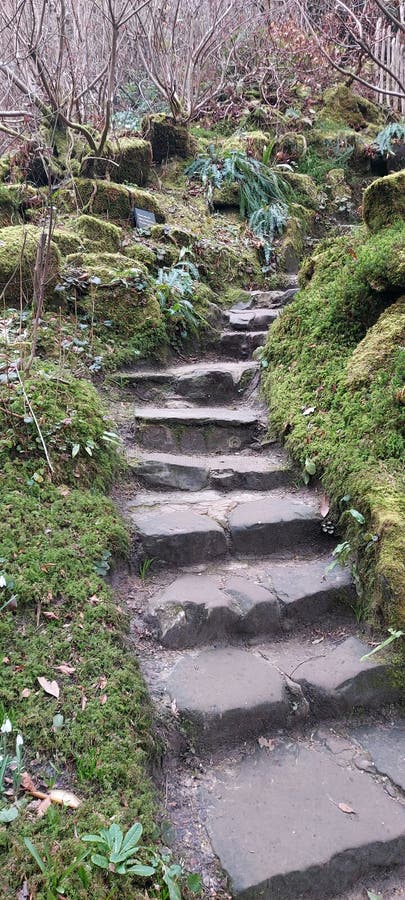 Stone Steps in a Landscaped Garden. Stock Image - Image of pretty ...