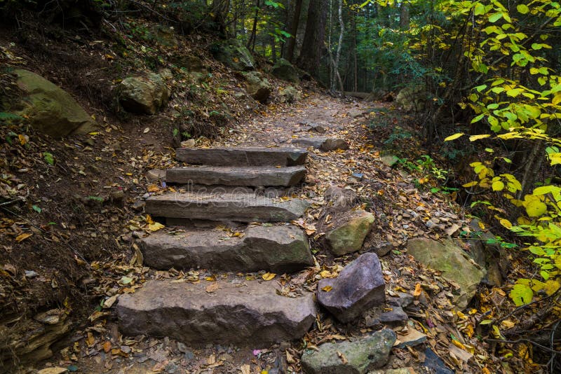 Stone Steps in the Woods in Autumn Stock Image - Image of forest ...