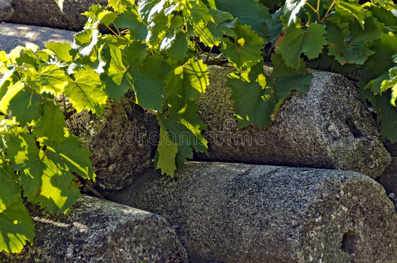 Stone store of a sculptor stock photo. Image of stone - 36087036