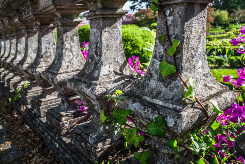 Perspective of the Ancient Grid in the Colorful Garden with Selective ...