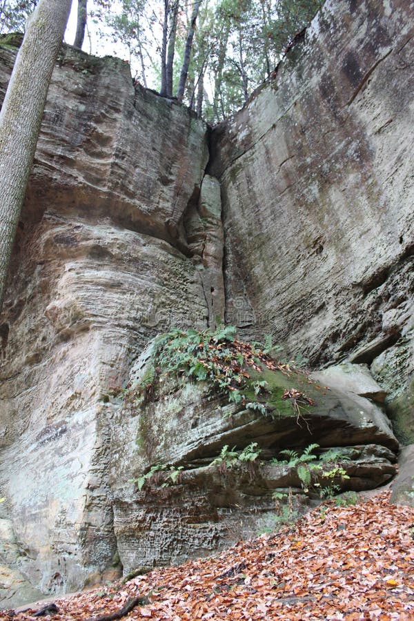 Stone Structure in the Woods during Autumn Stock Photo - Image of ...