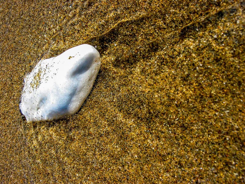 Stone Submerged on the Shore of the Beach Stock Photo - Image of clean ...