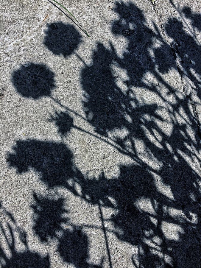 Stone surface stock photo. Image of background, concept - 120771870