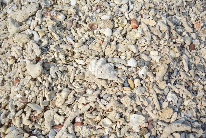 Stone surface on beach stock photo. Image of grey, ballast - 85313274