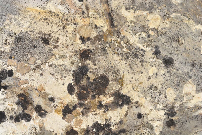 Stone surface stock image. Image of shadow, beige, texture - 322029035