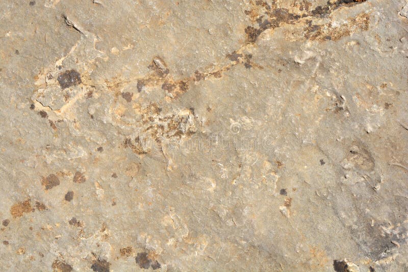 Stone surface stock image. Image of shadow, beige, texture - 322029035