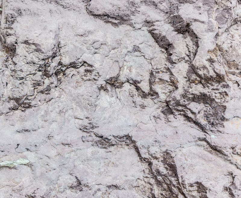 Stone Slab with Small Inclusions. Grey Texture Stock Image - Image of ...