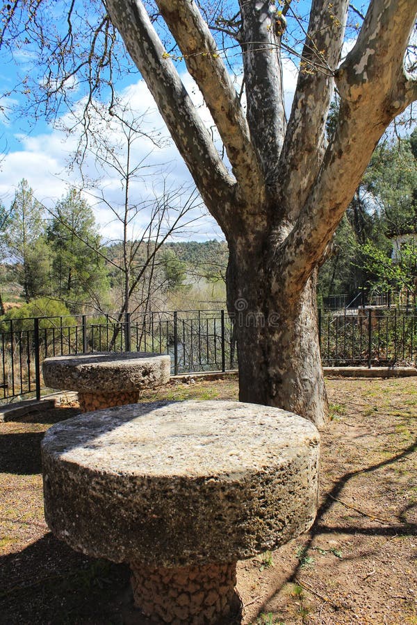 Stone Tables Next To a Tree in a Park Stock Photo - Image of picnic ...