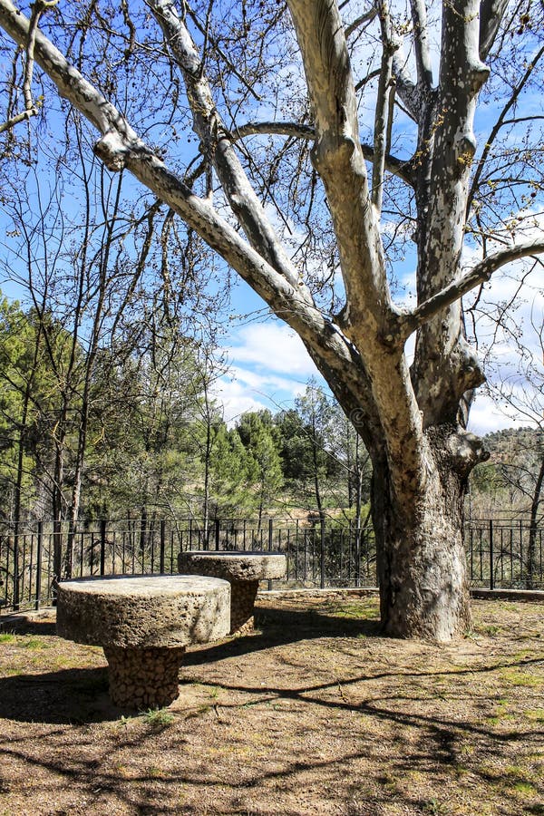 Stone Tables Next To a Tree in a Park Stock Photo - Image of relax ...