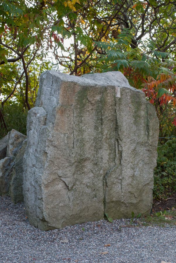 Blank Stone Tablet Forest Stock Photos - Free & Royalty-Free Stock ...