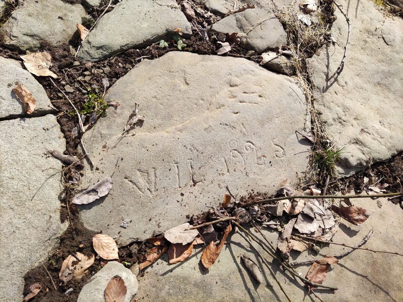 Stone Tag stock photo. Image of life, bang, solution - 243341434