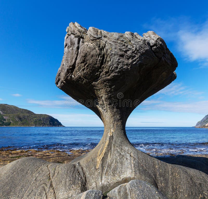 Stone Tail stock image. Image of fjord, cliff, famous - 54188757