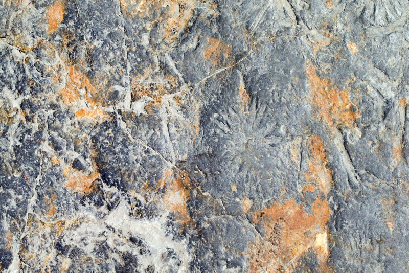 Stone Texture or Background Stock Image - Image of gray, stone: 262948065
