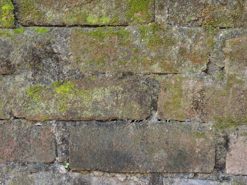 Stone Texture Background Covered by Moss Stock Image - Image of ...