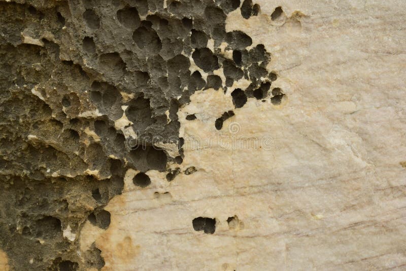 Floating Porosity Stock Photos - Free & Royalty-Free Stock Photos from ...