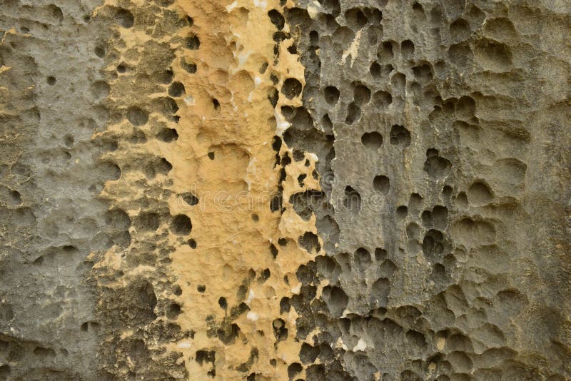 Porosity Concrete Stock Photos - Free & Royalty-Free Stock Photos from ...