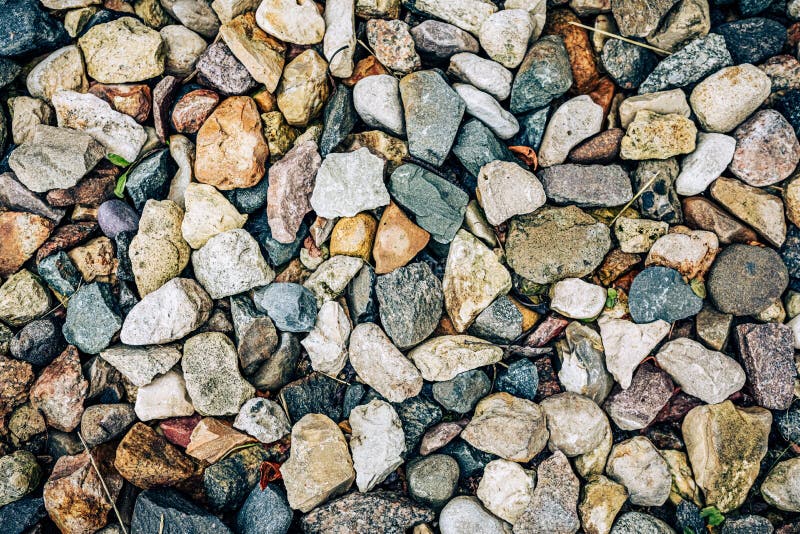 1,270 Grunge Texture Backyard Stock Photos - Free & Royalty-Free Stock ...