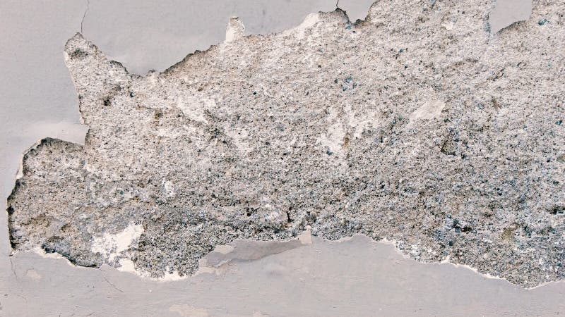 860 Scurf Stock Photos - Free & Royalty-Free Stock Photos from Dreamstime