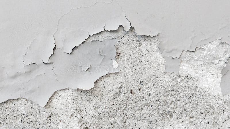 A Texture Background with Scurf Stock Image - Image of xture, white ...