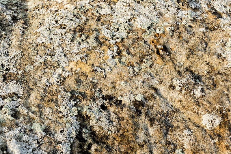 Stone Texture for Backgrounds and Decorations Stock Photo - Image of ...