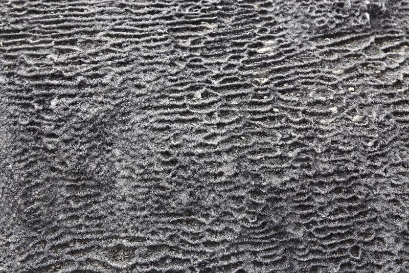 Stone texture stock photo. Image of natural, asian, stone - 54287004