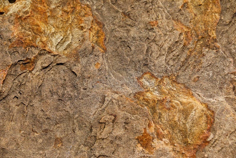 Stone texture stock photo. Image of skin, texture, wooden - 59017874