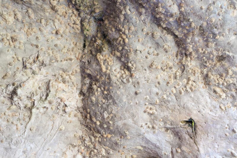 Stone Texture Cliff Mountain. Rocks in Nature Beautiful Background ...