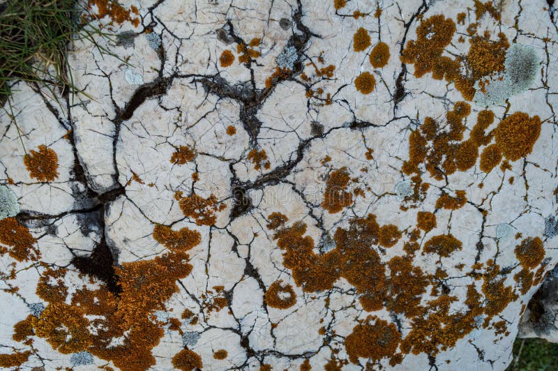 Stone texture stock image. Image of rock, lichen, snow - 229551241