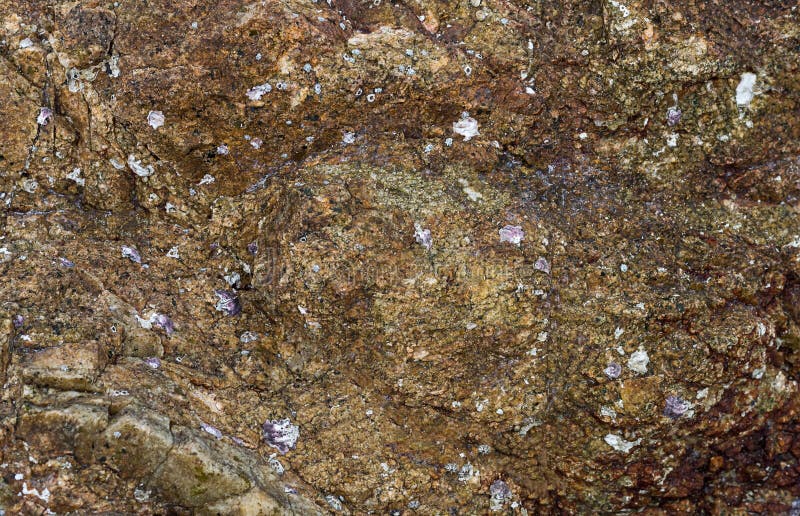 Stone Texture Cobble Closeup Beige Brown Mineral Weathered Base ...