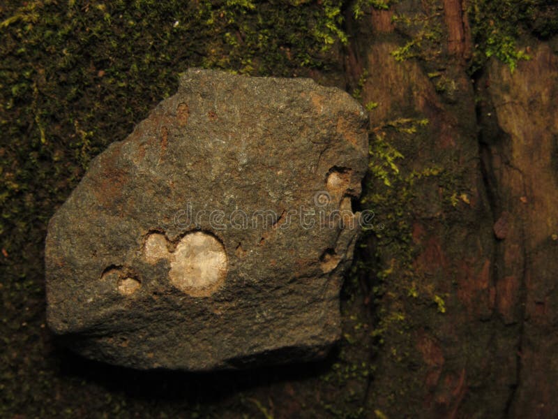 Stone Texture with Embedded Crystal (quartz), on a Background of Wood ...