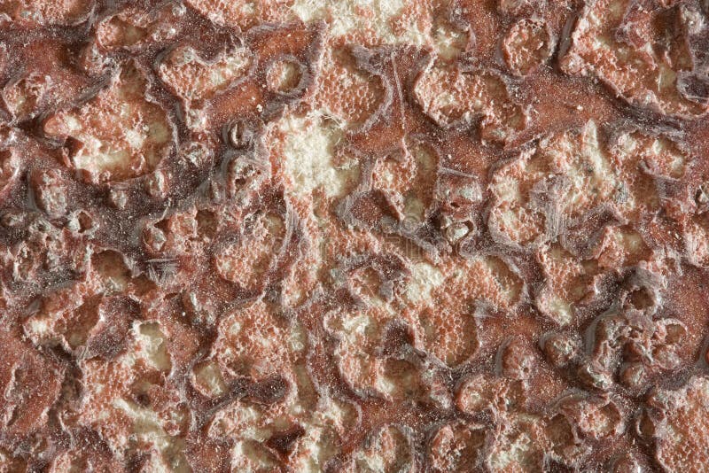 Stone texture with fibers stock image. Image of grime - 13545035