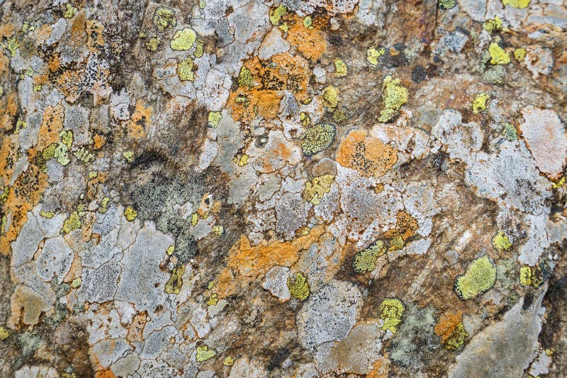 Stone Texture, Granite Surface. Colored Rock Pattern Background. Stock ...