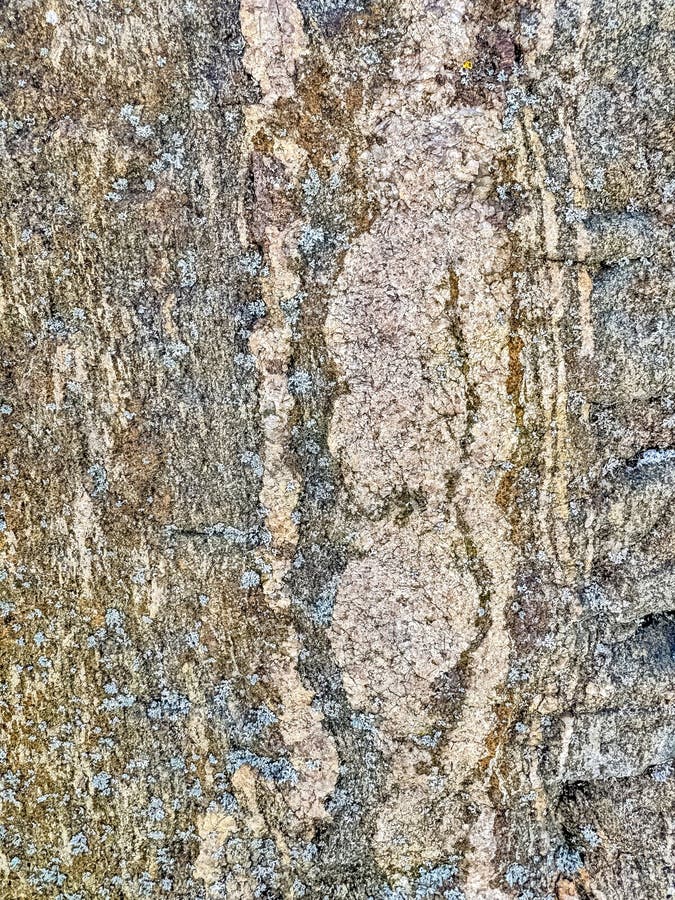 Stone Texture with Natural Patterns and Lichen Growth Stock Image ...
