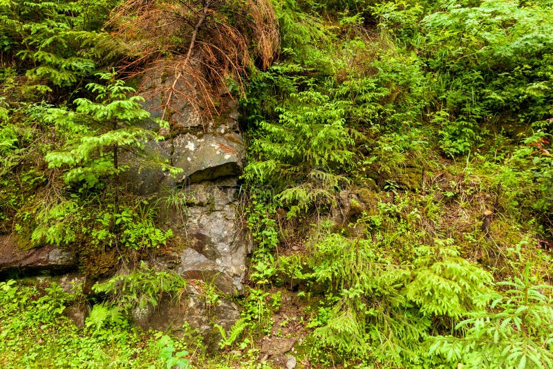 Stone Texture - the Nature of the Structure of a Solid Substance and ...