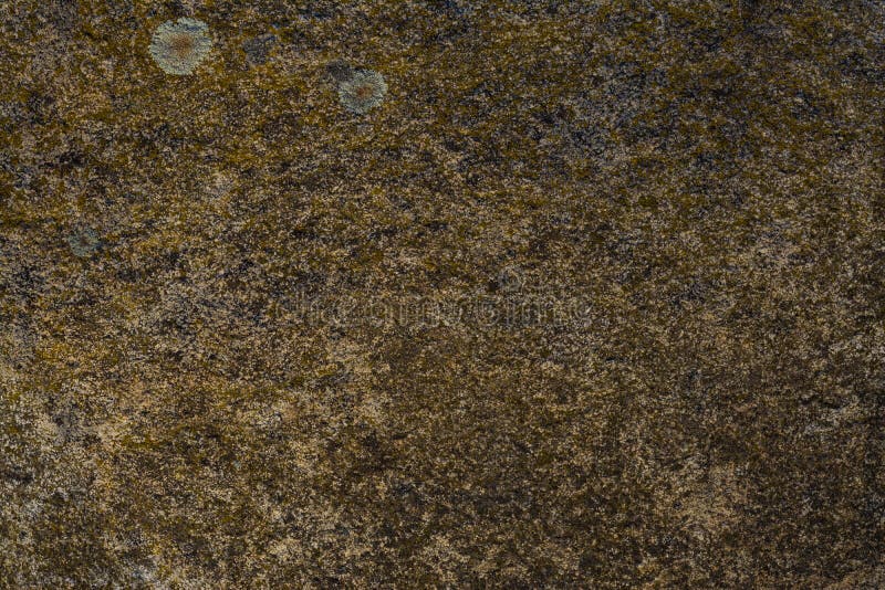 Stone stock photo. Image of stone, reference, mossy, texture - 83477646