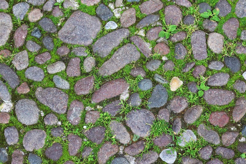 Stone Texture Road with Green Grass Stock Image - Image of stones ...
