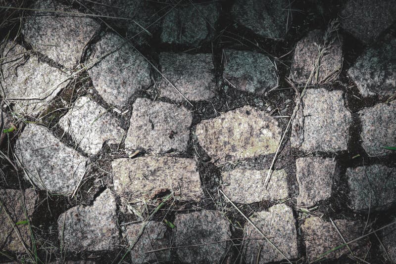 Stone texture, road stock photo. Image of road, trunk - 185224018