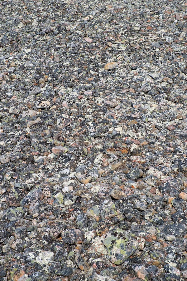 Stone texture seashore stock image. Image of stone, rock - 73685223