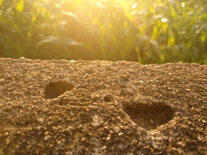 Stone texture stock image. Image of stone, morning, texture - 117941315