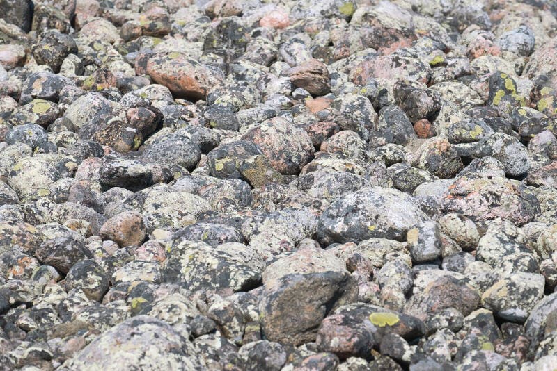 Stone texture seashore stock photo. Image of onega, coast - 124391252