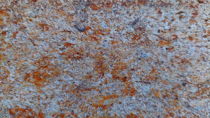 Stone Textured on Ilustration Mark Stock Image - Image of frost, tree ...