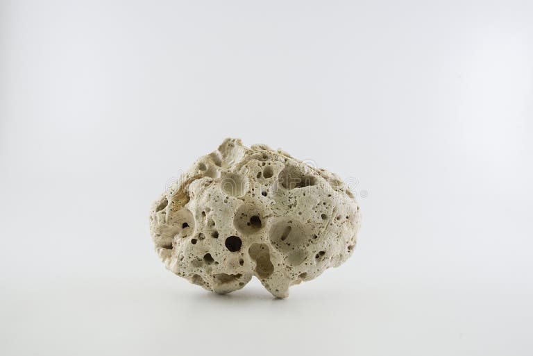 Stone, Textured and Shaped by Erosion from a Natural Path on a W Stock ...