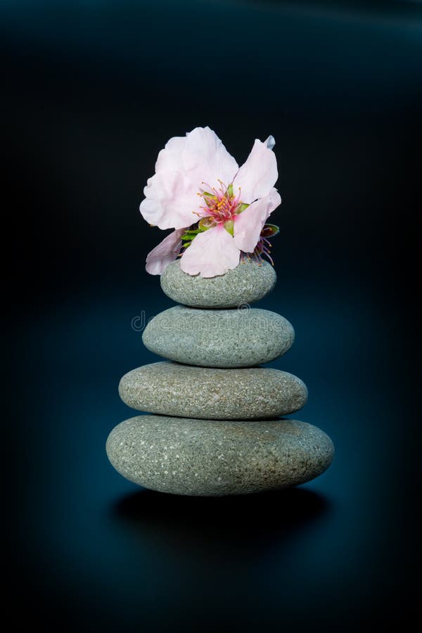 4,300+ Therapy background Free Stock Photos - StockFreeImages