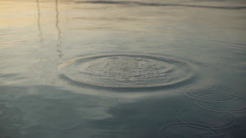 Stone Thrown into the Water Stock Video - Video of health, coast: 268559953