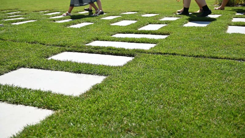 Stone Tile Path on Green Grass in Park Stock Video - Video of park ...